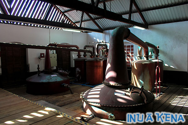 Visiting the Mount Gay Distillery | Inu A Kena